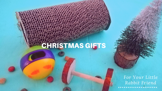Christmas Gifts for Your Little Rabbit Friend - Merry Christmas Everybunny