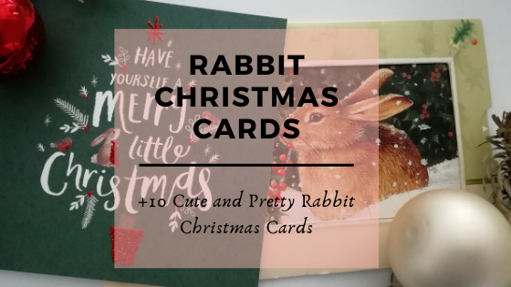 Rabbit Christmas Cards - Merry Christmas Everybunny